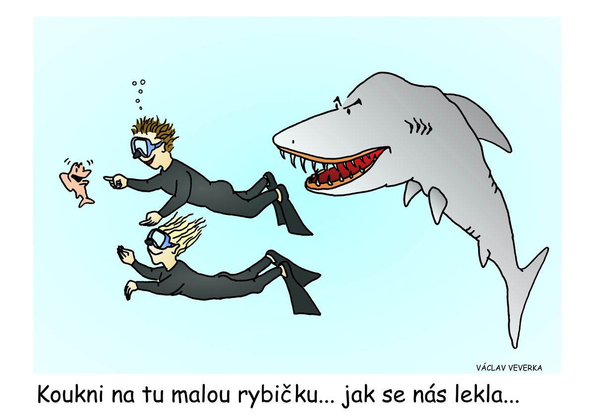 Kreslený vtip - Nemusí být vše, jak vypadá - Seznam Médium