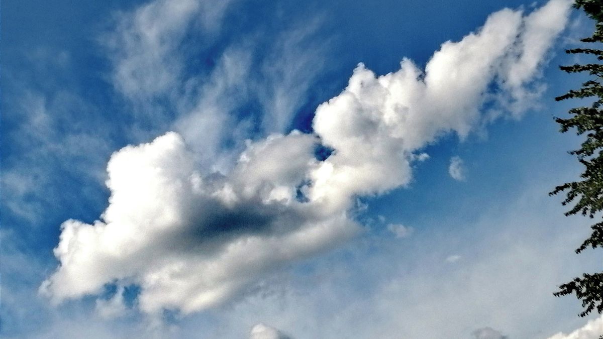 Vesmír a lidské tělo je jednou entitou bez hranic - Seznam Médium