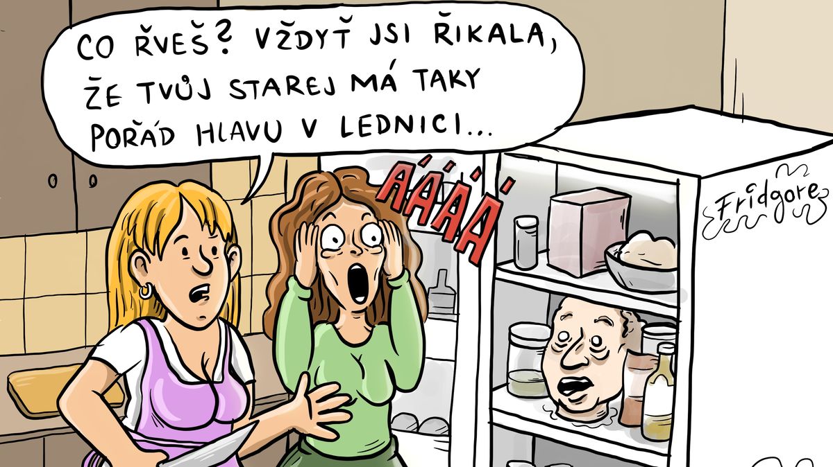 Kreslený vtip: Hlavu má pořád v lednici… - Médium.cz