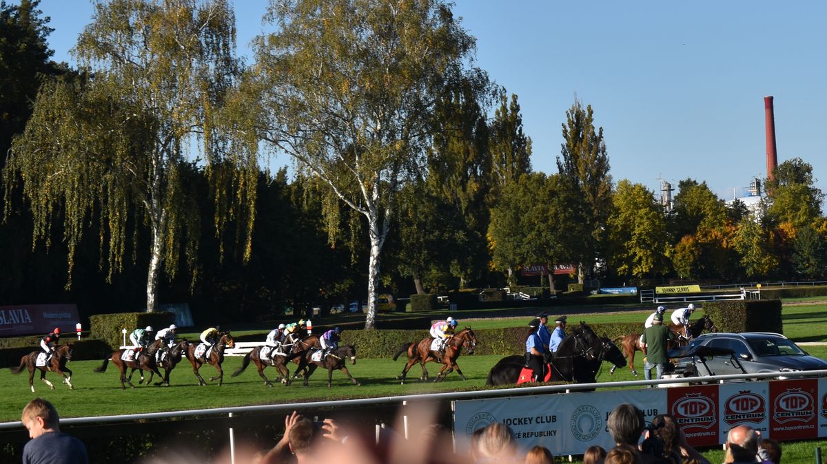 Kůň Talent se mi vryl do duše. Letos na Velké pardubické už nesoutěží ...