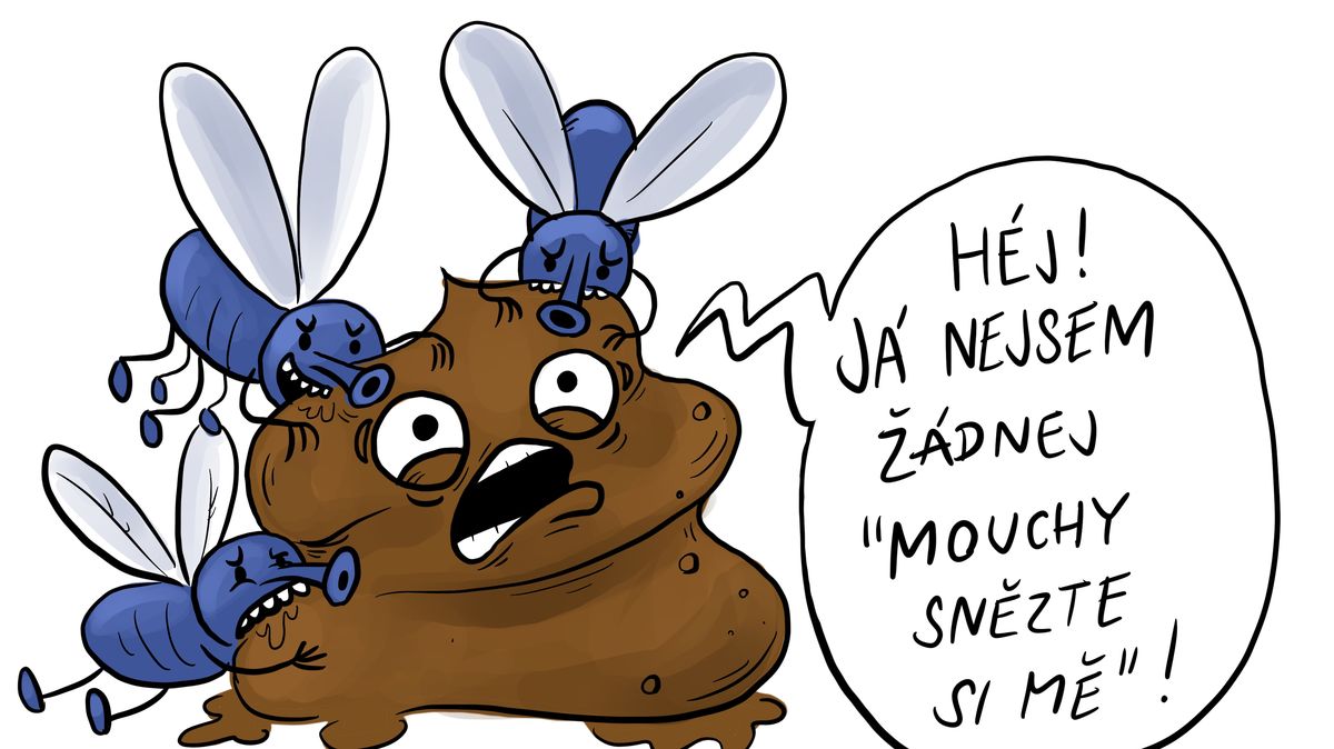 Kreslený vtip: Mouchy snězte si mě - Médium.cz