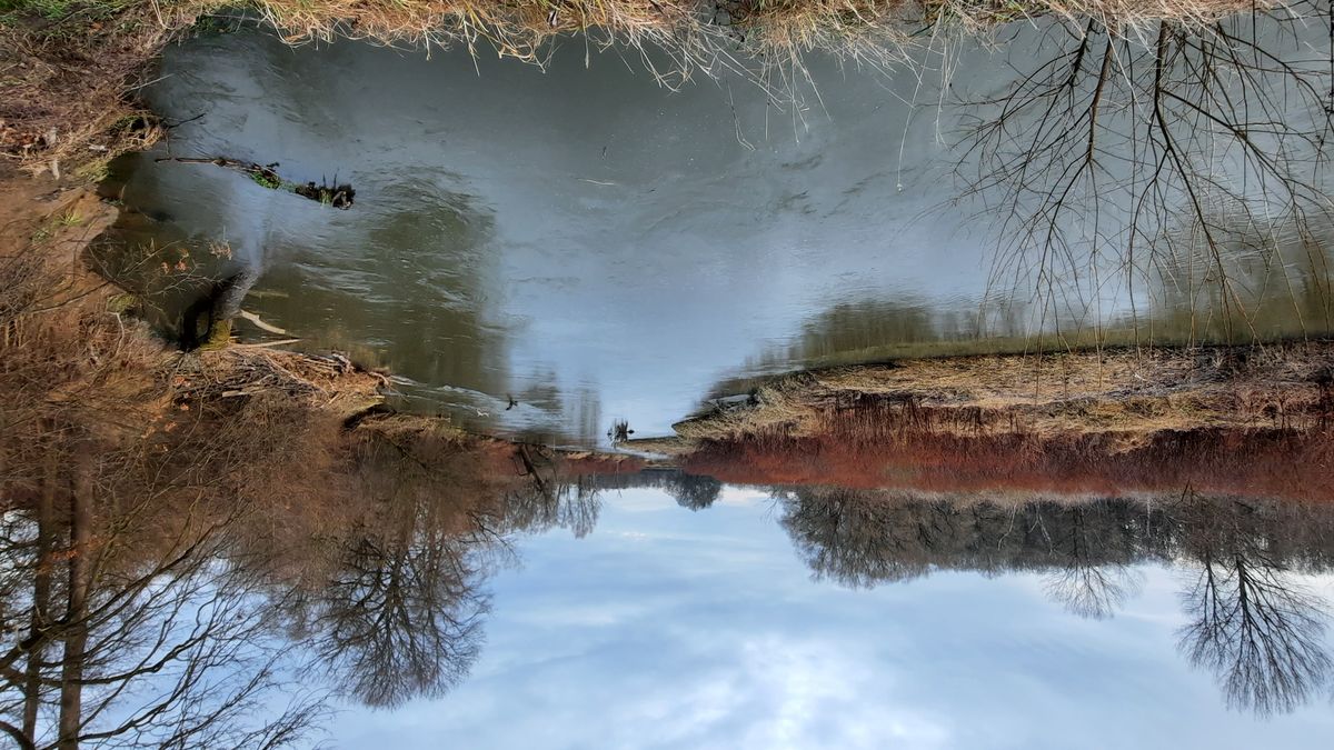 Prosím, aby můj syn neseděl ve třídě u dveří, vyvolává to v něm pocit ...