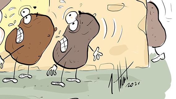 Víte, co děsí brambory? - Médium.cz