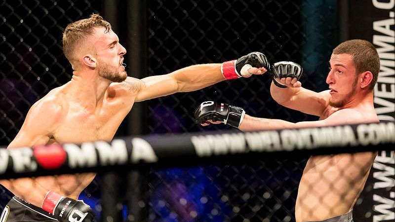 MMA je nejférovější a nejnáročnější sport na světě - Médium.cz