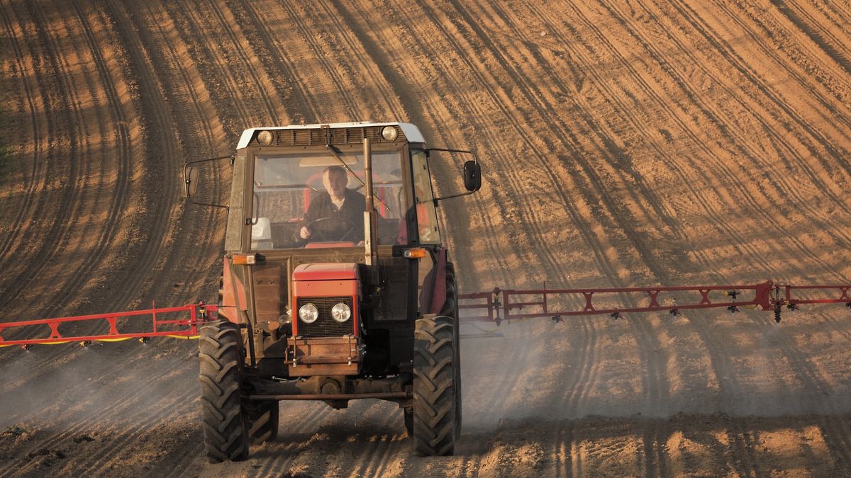 Lékaři, učitelé, zemědělci. Jak ze sebe pomocí demonstrace udělat ...
