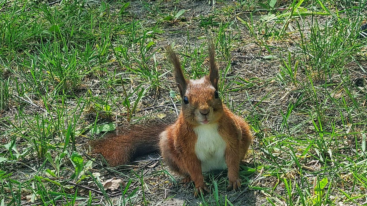 S kolem na Nordcapp: Jednorožec, veverka a král Barbadosu - Médium.cz