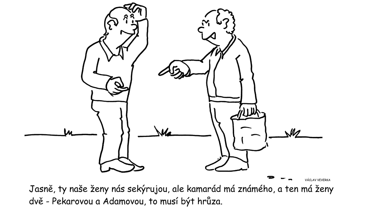 Kreslený vtip - Manželství není procházka růžovou zahradou - Médium.cz