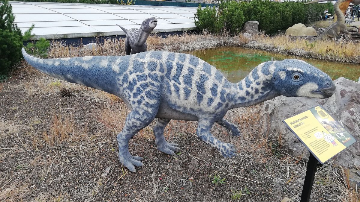 Jurský park po Česku: Příběh našeho prvního dinosaura - Médium.cz