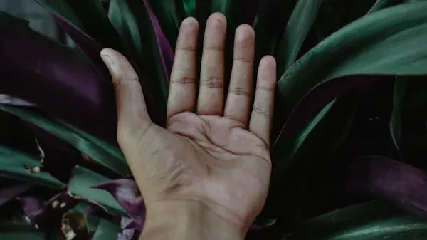 „Kdysi jste mi četla z ruky a všechno se vyplnilo!“ - Médium.cz