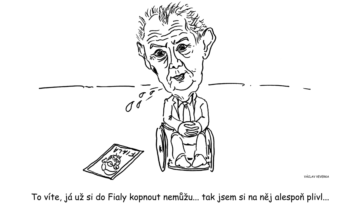 I Miloš Zeman měl k pokusu o vyslovení nedůvěry vládě co říct - Médium.cz