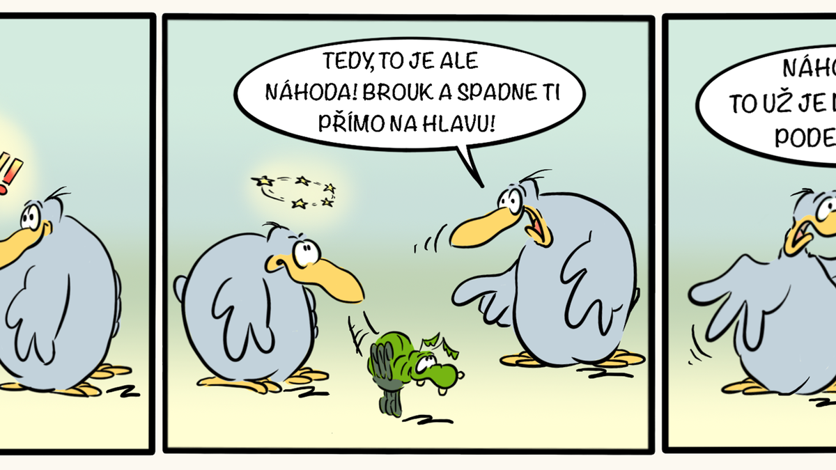 Náhoda neexistuje - Médium.cz