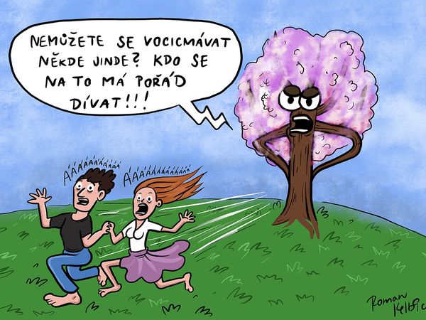 Kreslený vtip: Pan Krok a Tři sestry! - Seznam Médium