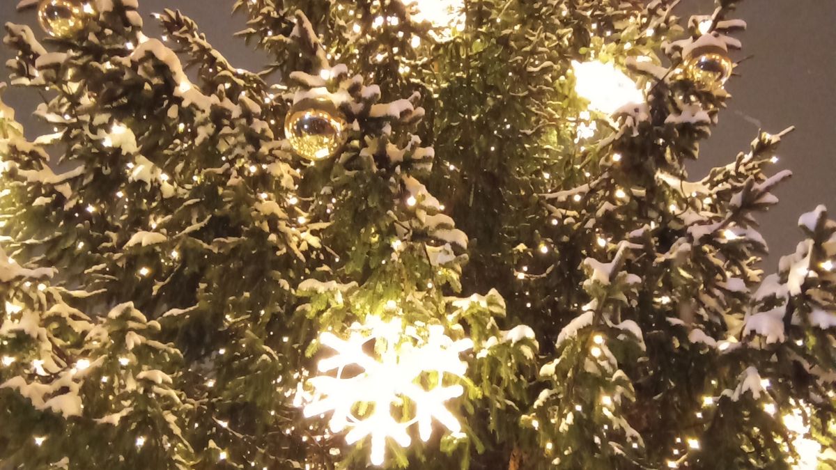 Kolotoč povinností aneb Vánoce? - Médium.cz