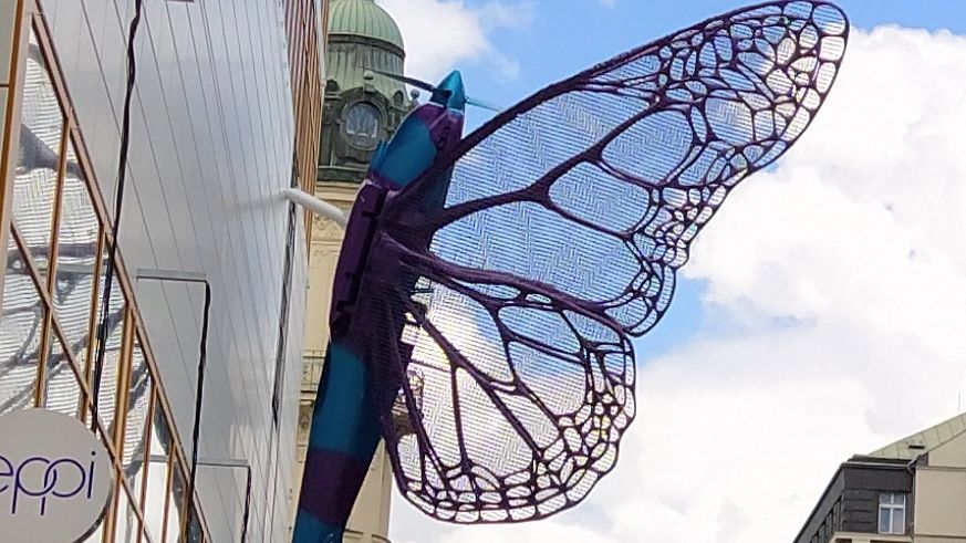 Spitfiroví motýli v máji na Máji - Médium.cz