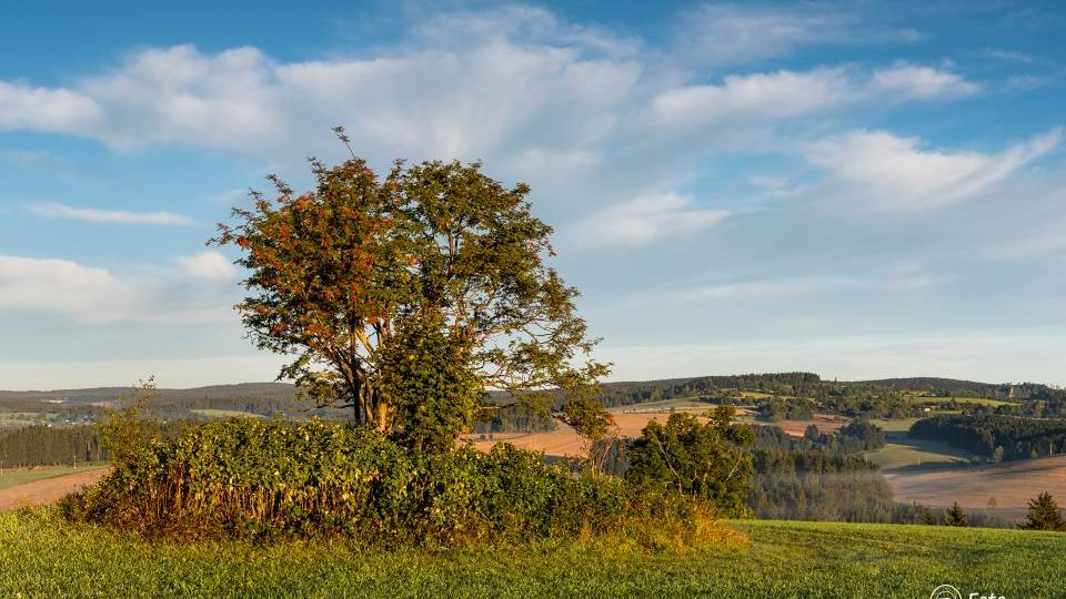 Letní ráno - Médium.cz