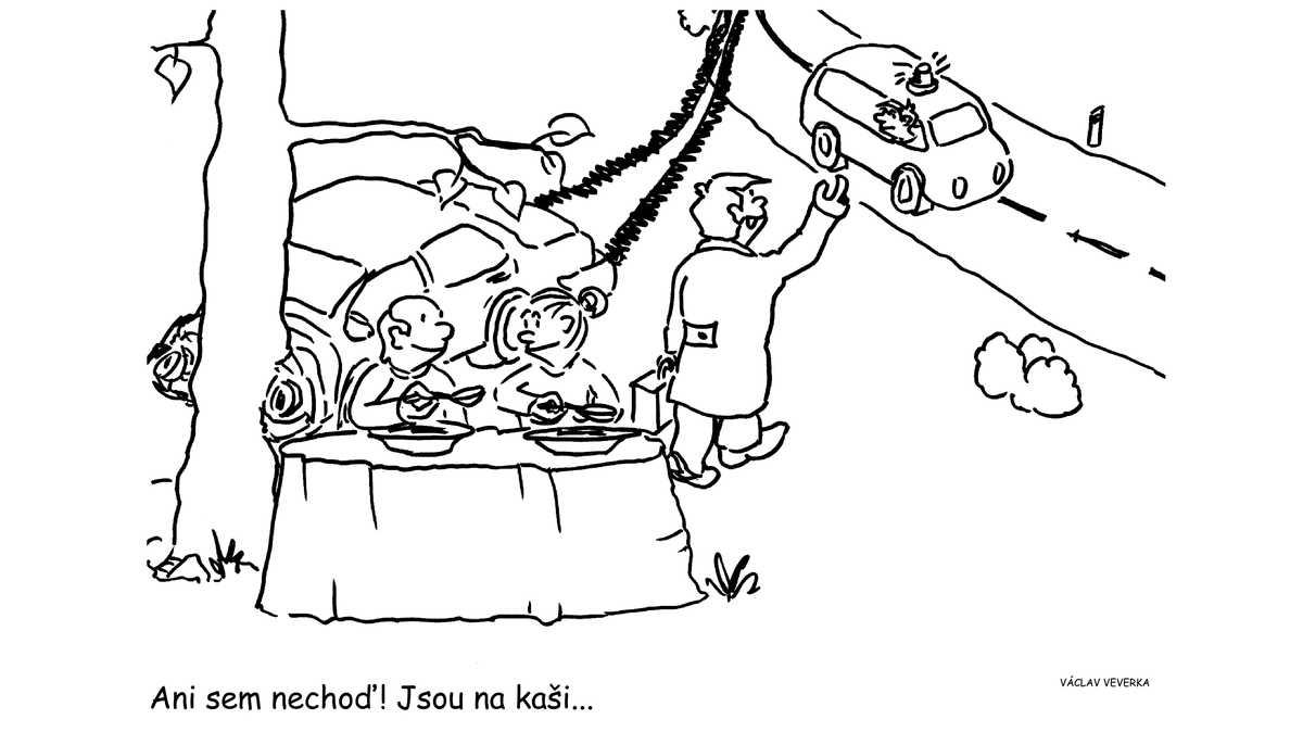 Jen pro otrlé - jsou na kaši - Médium.cz