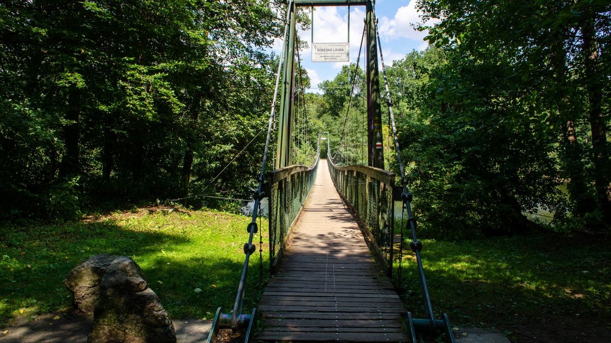 Visutý most v národním parku Podyjí - Médium.cz