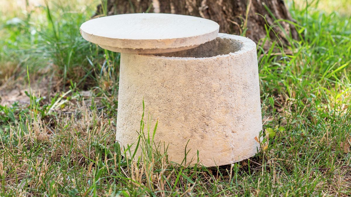 Přírodní hřbitovy a houbové rakve. Jaké jsou ekologické trendy v ...