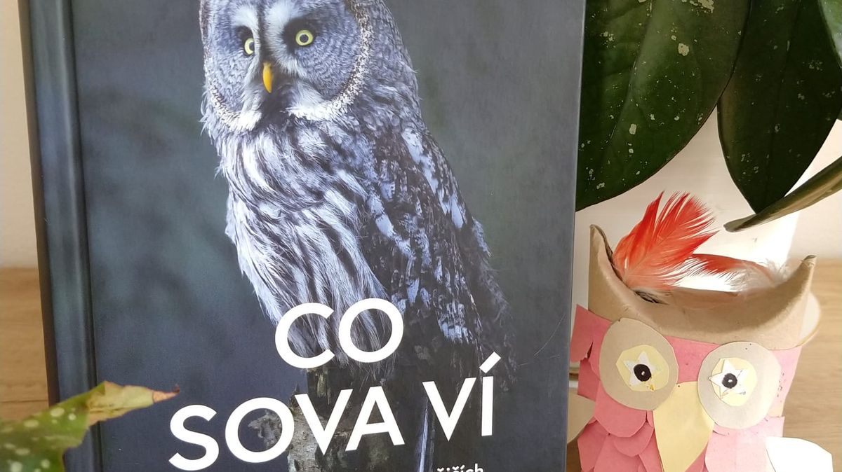 Co sova ví - Médium.cz