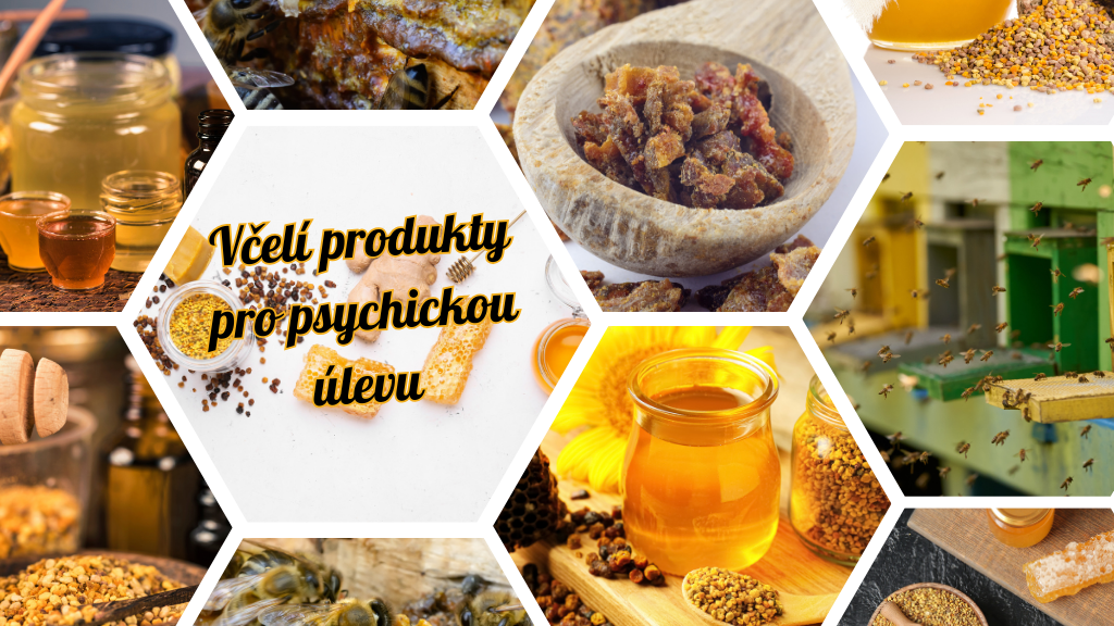 Včelí produkty jako podpora psychického zdraví - Médium.cz
