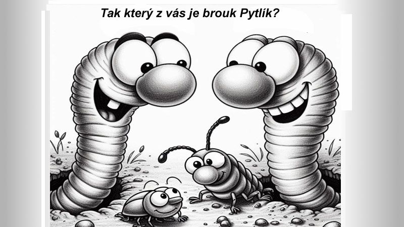 Novákův vtip. Hledá se brouk Pytlík - Médium.cz