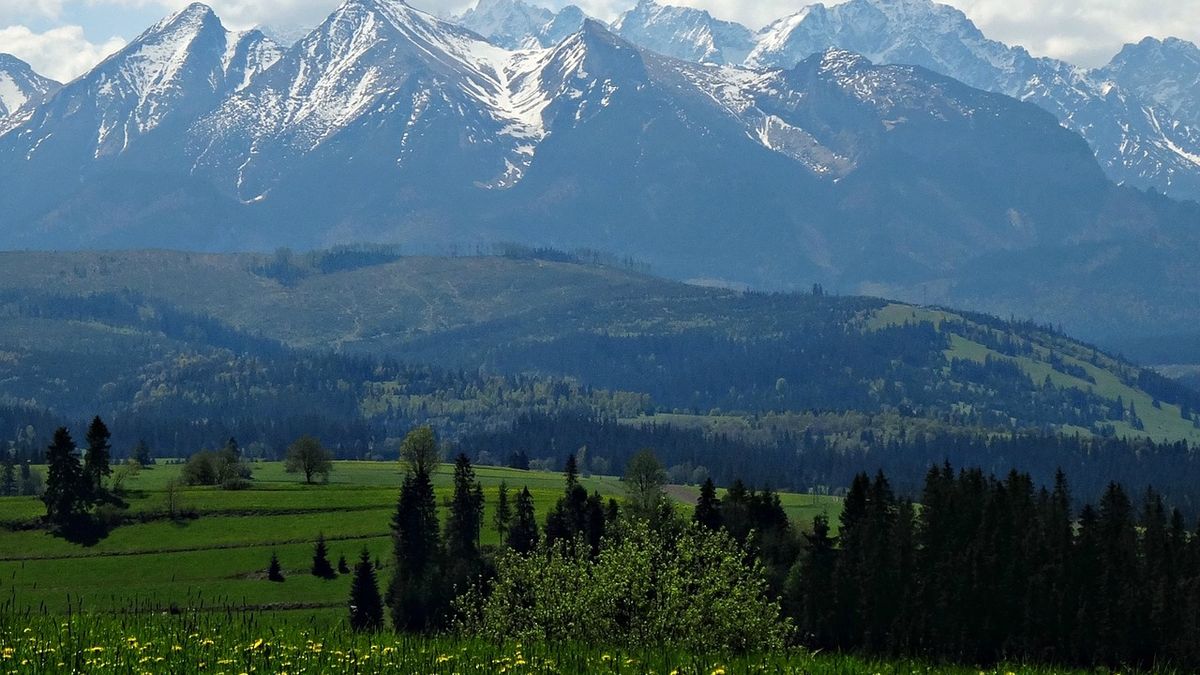 Nová verze slovenské hymny je hravá a pobavila, skladatel Rózsa si ...