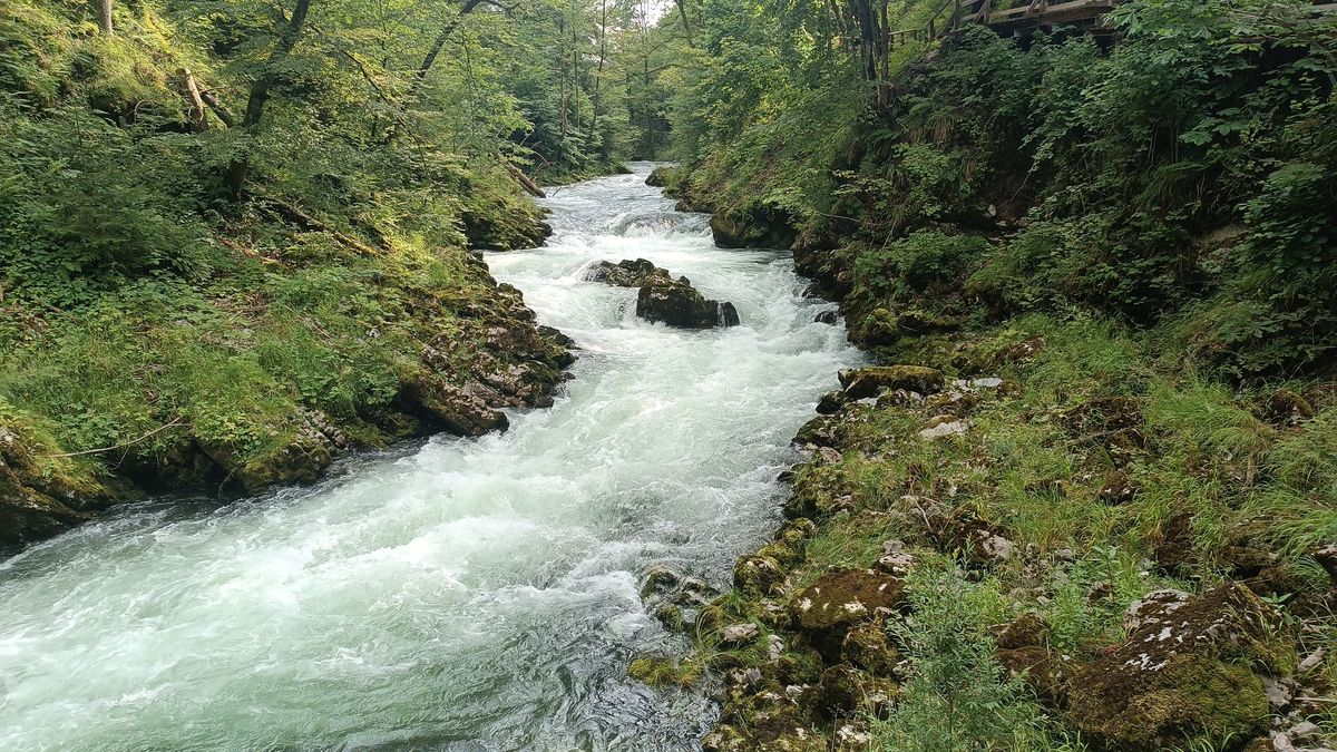 Povaha člověka podle životního čísla, jak vás nímá vaše okolí - Médium.cz