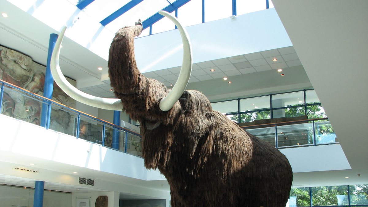 Mamut v Anthroposu: Nezapomenutelný výlet pro celou rodinu - Médium.cz