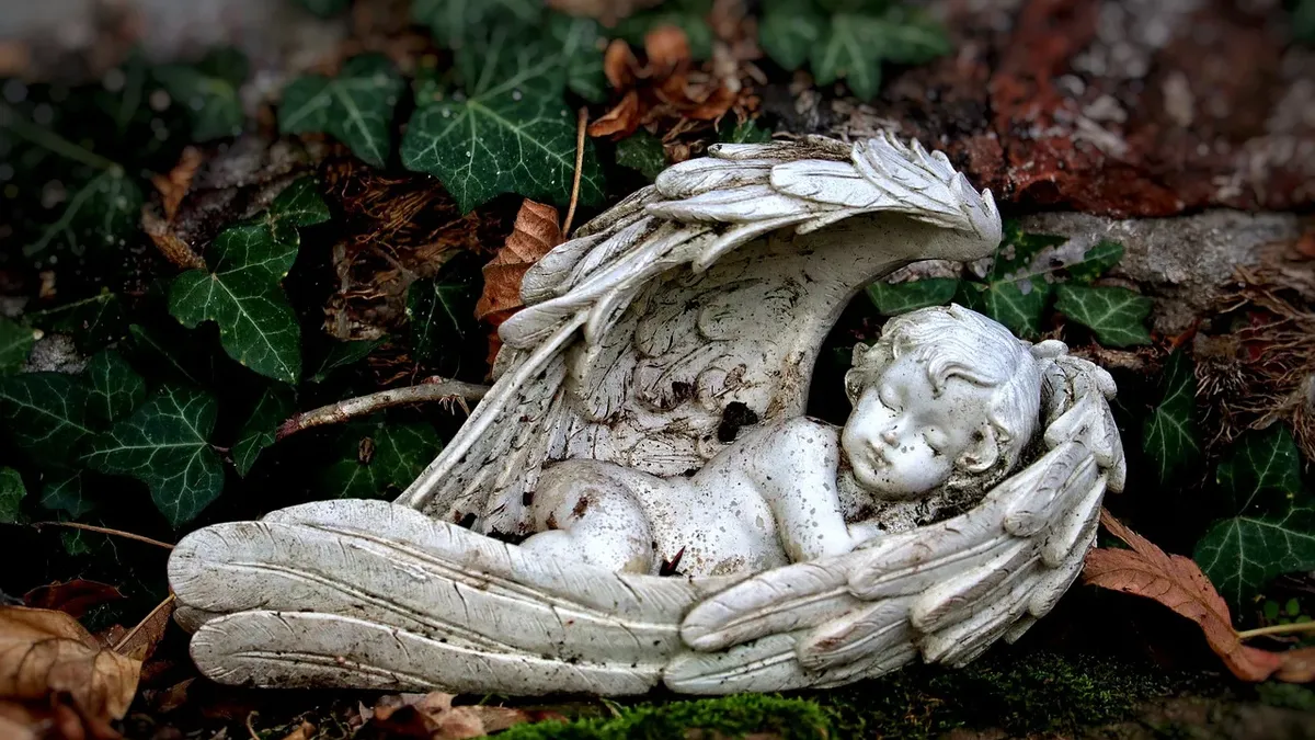 Zkamenělé dítě: zvláštní a děsivý fenomén jménem lithopedion. Plod ...