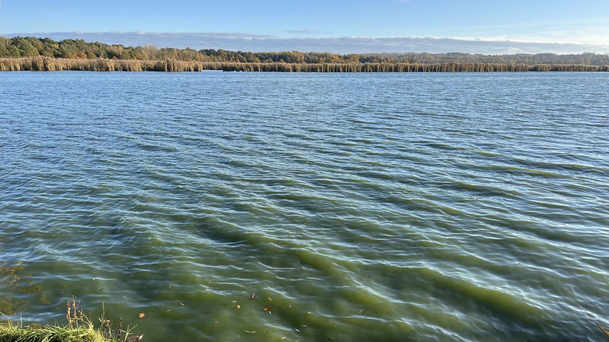 Co je vlastně úkolem života? Být šťastný? Zdravý? Nebo si tady jen něco ...