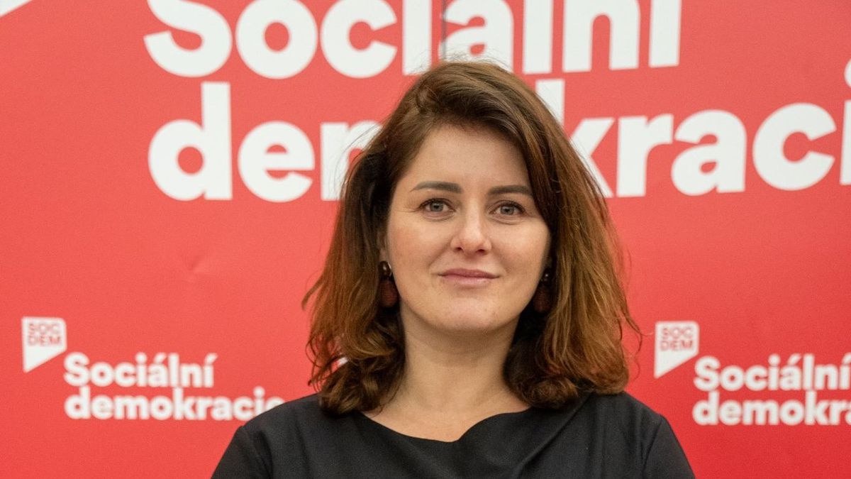 SOCDEM si na dně vrtá sklep. Vyzývá ke spolupráci Stačilo! - Médium.cz