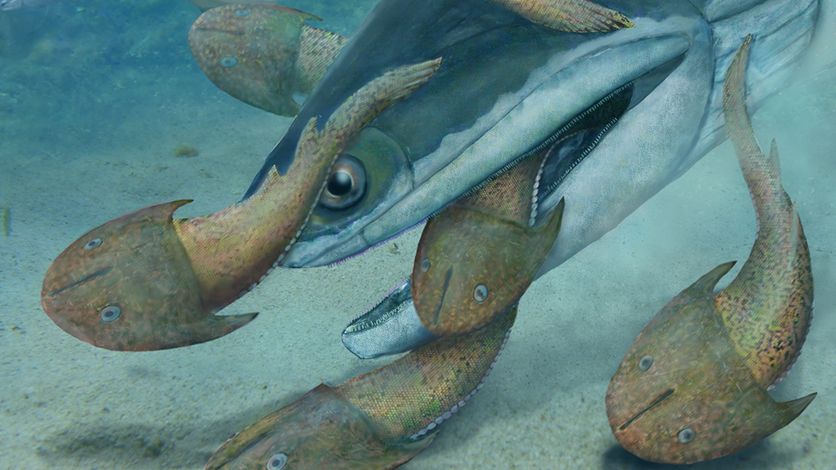 Megamastax: „Obří“ predátor silurských moří - Médium.cz