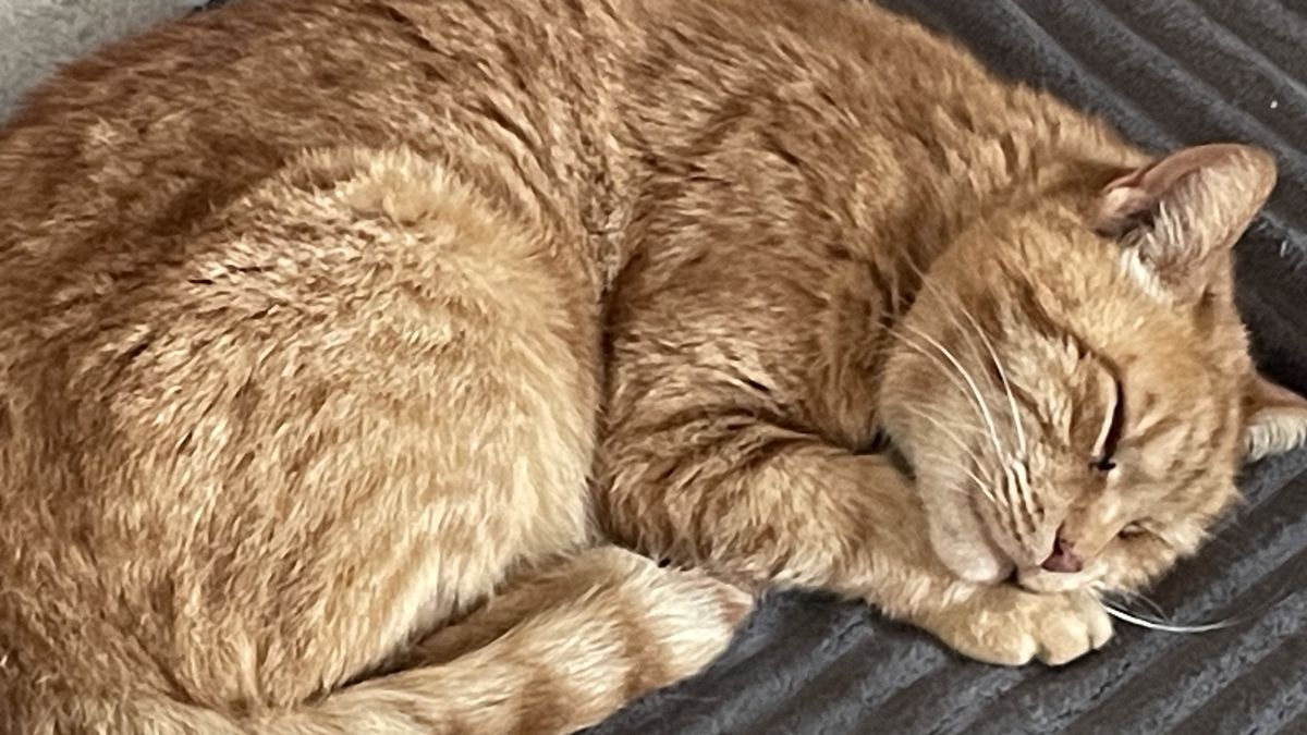 Můj brácha má prý smůlu - Médium.cz