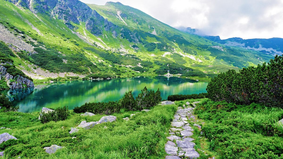 Příroda plná „podpapíráků“ v CHKO a národních parcích trápí nejen Česko ...