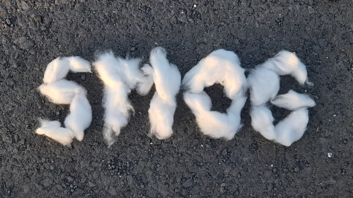 Čeština se plní jazykovým smogem - Médium.cz