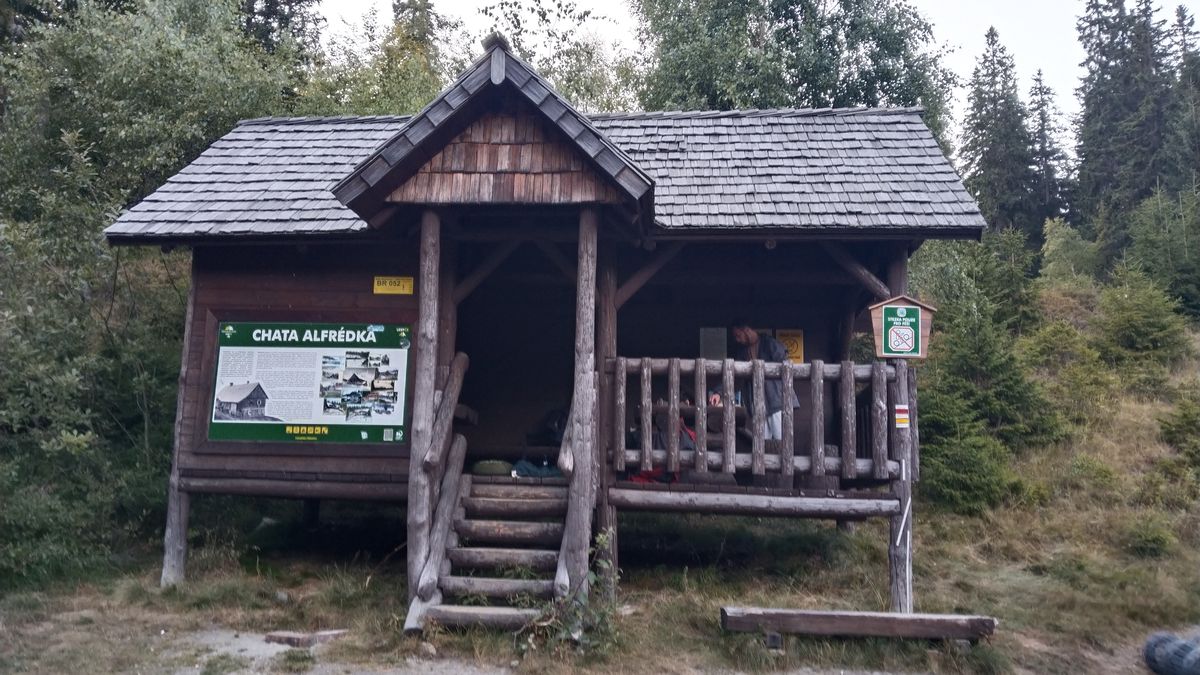 Diskuze - Jak nás v Jeseníkách málem zabil datel - Médium.cz