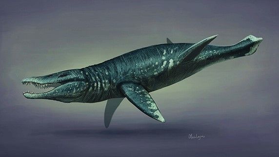 Pliosaurus: Jurská noční můra moří a oceánů - Médium.cz