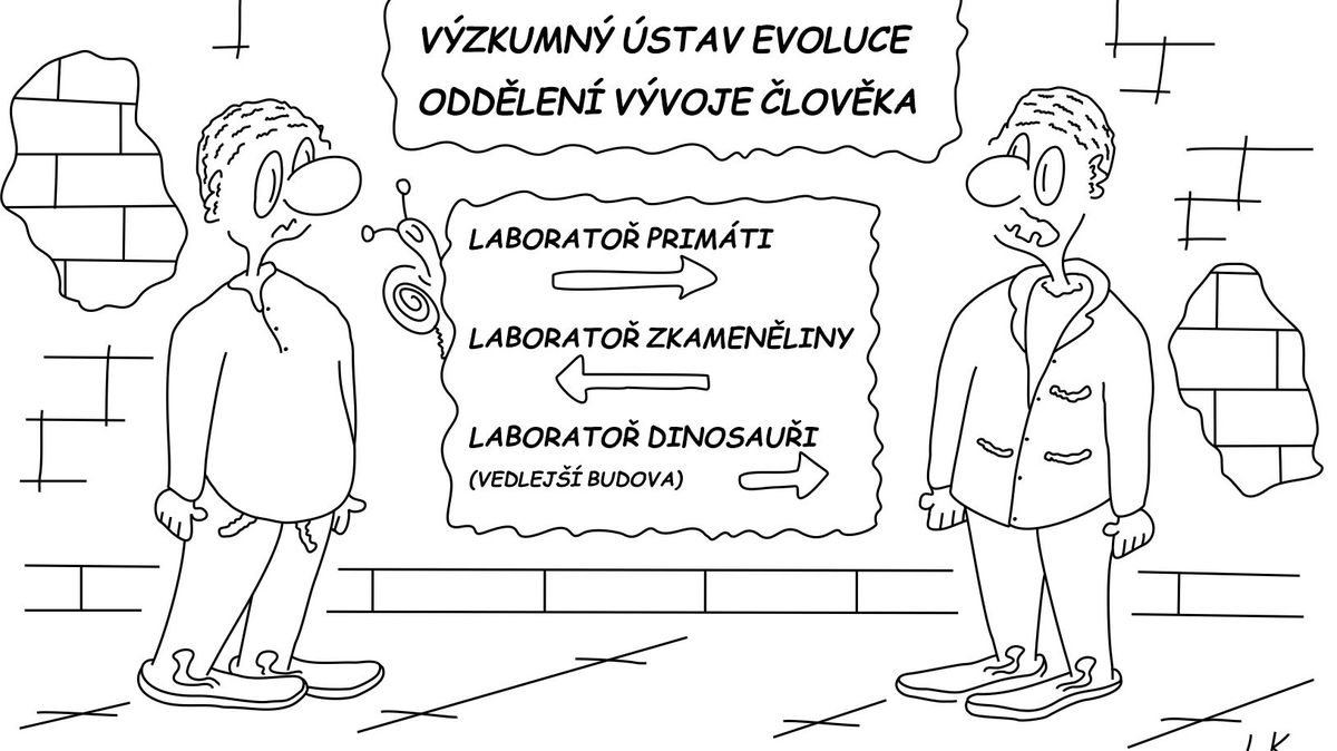 Evoluce hlouposti - Médium.cz