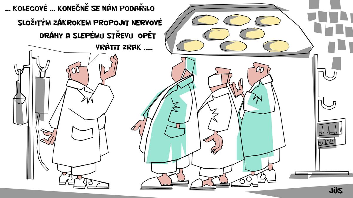 Slepé střevo konečně vidí - Médium.cz