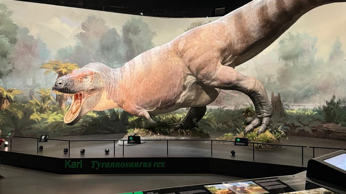 Mami, uměl Tyranosaurus REX plavat? - Médium.cz