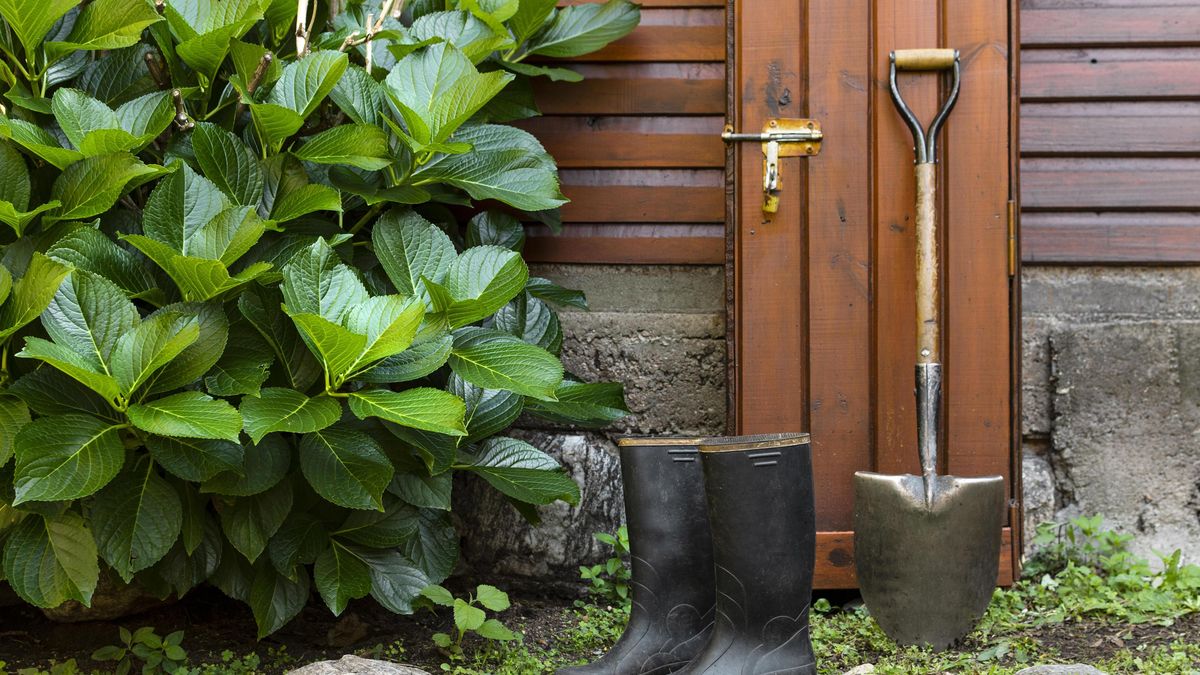 Studna vysychala a my nechápali proč. Pravda se ukázala až úplnou náhodou - Médium.cz