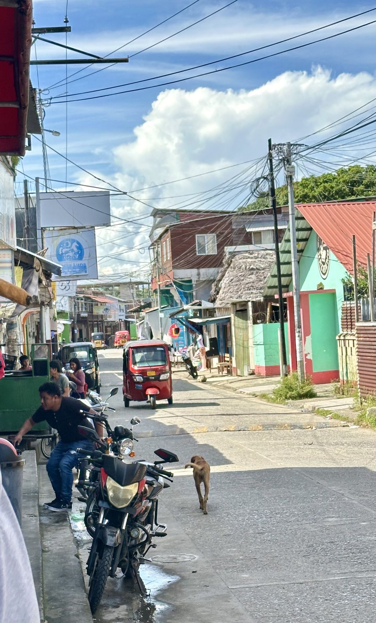 Jak jsme v Livingstonu přežili Karibik, tuktuk a místní kuchyni ...