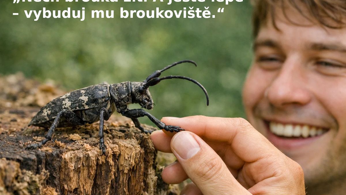 Nech brouka žít (z edice Otakarův průvodce životem) - Médium.cz