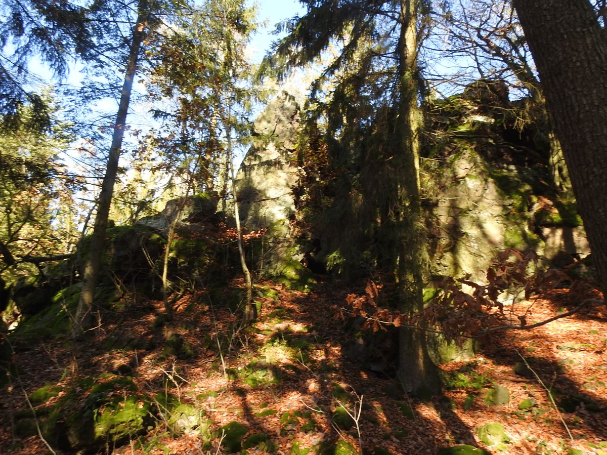 Název skalního hradu Drštka neznamené nic pejorativního, jde o křoví ...