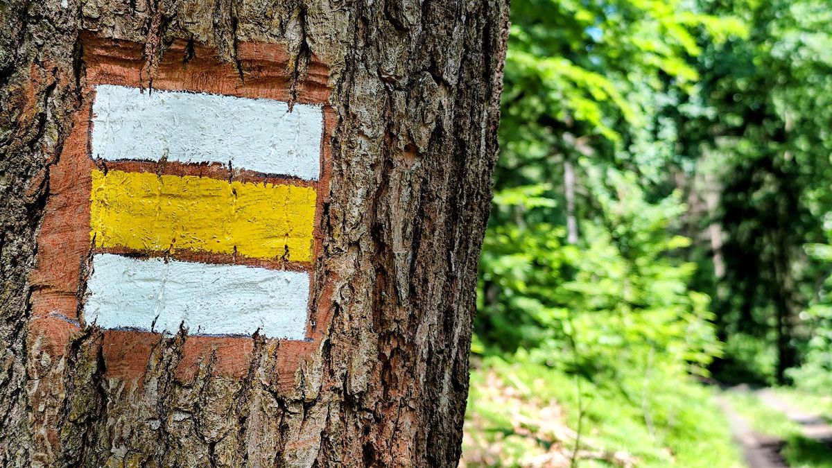 Nejlepší turistické značení na světě nevzniká samo. KČT a Stezky z ...