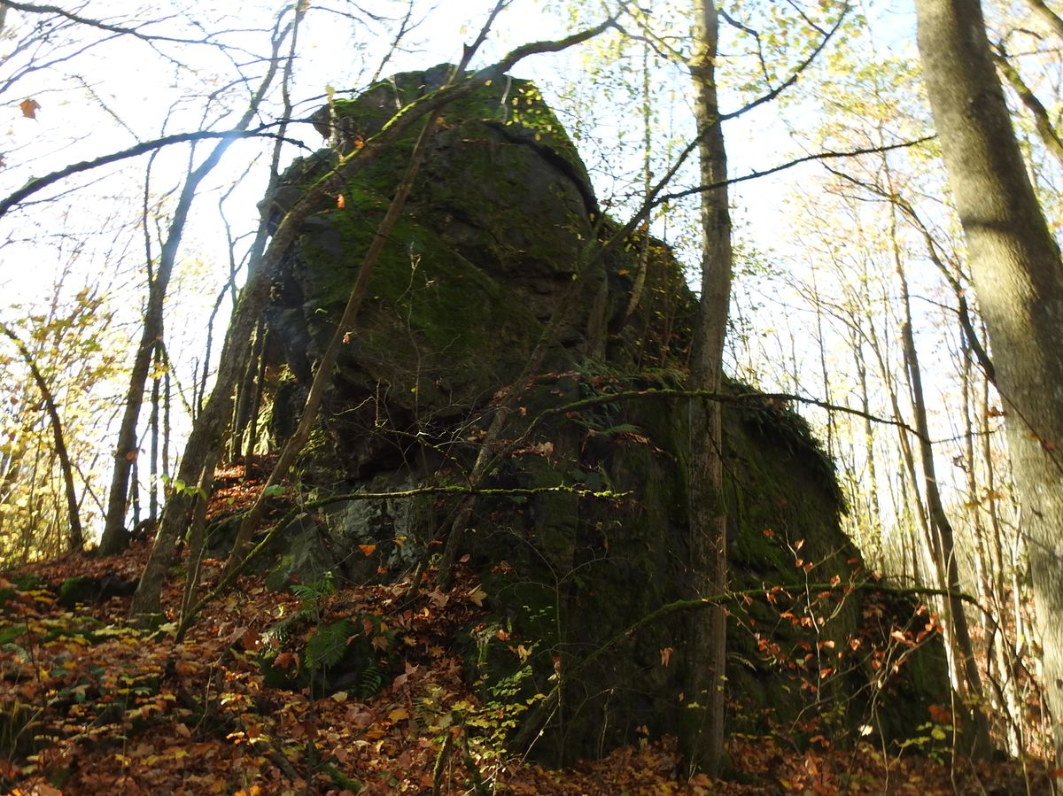 Název skalního hradu Drštka neznamené nic pejorativního, jde o křoví ...