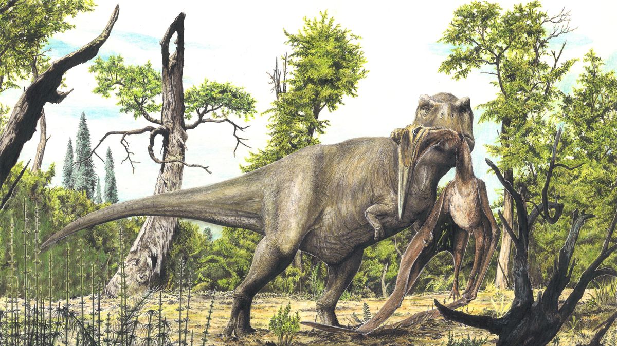 Výzkumy definitivně potvrzují, že děsivý Tyrannosaurus rex byl ...