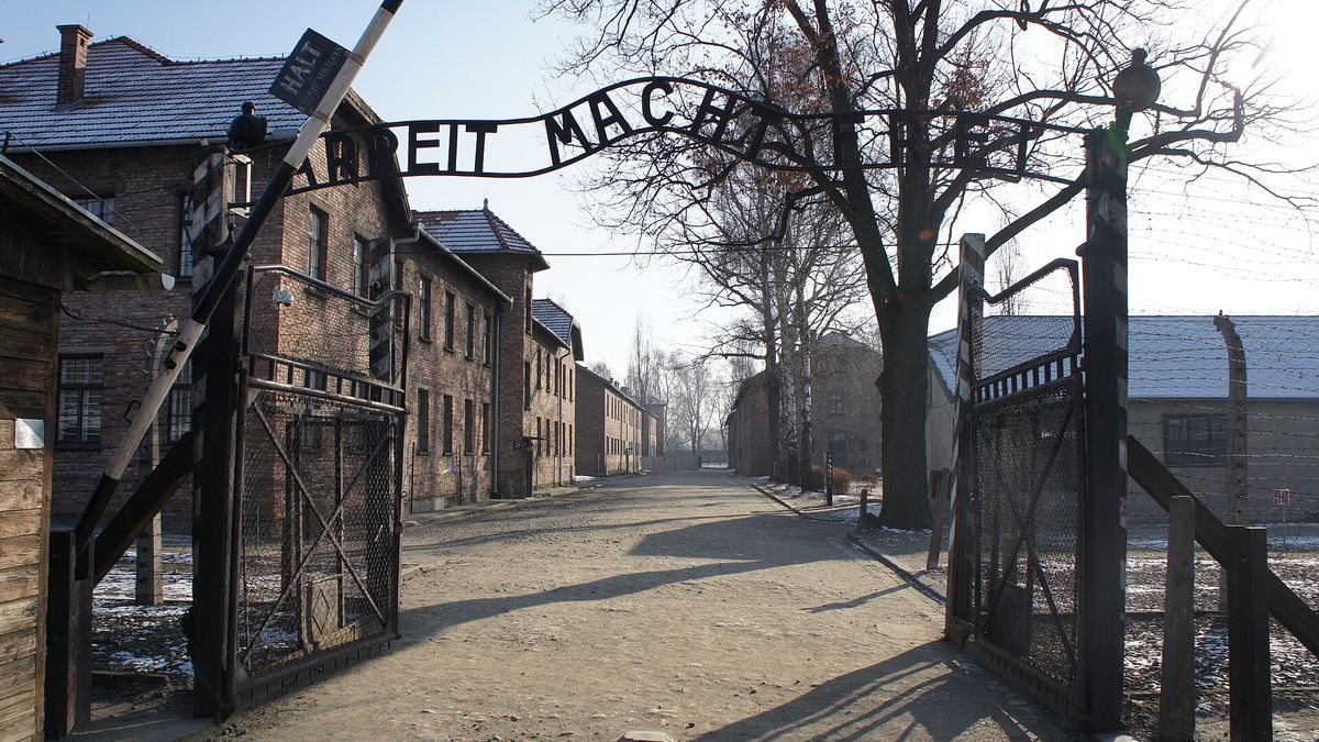 Přežila jsem holocaust a žila jsem mezi mrtvými. Vzpomínky jsem léta ...