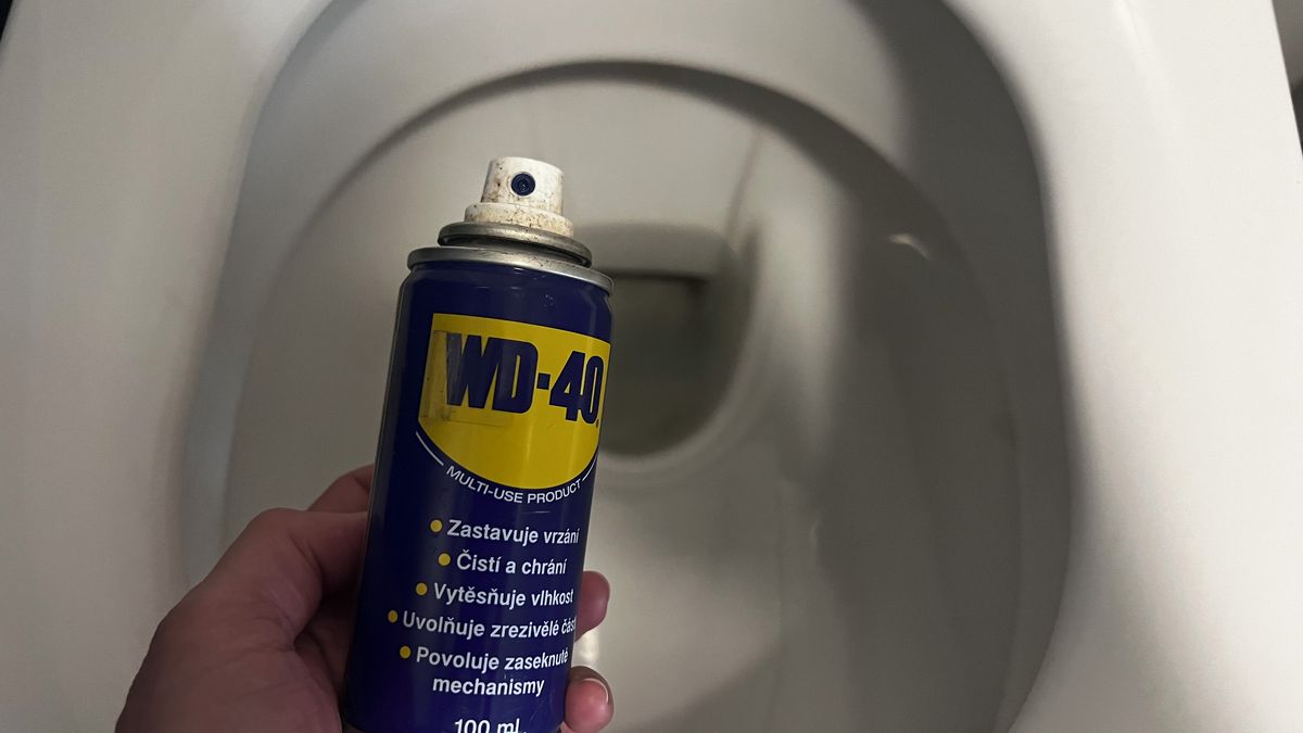 Internet radí stříkat WD-40 do záchodu. Vyzkoušela jsem to a tady je ...