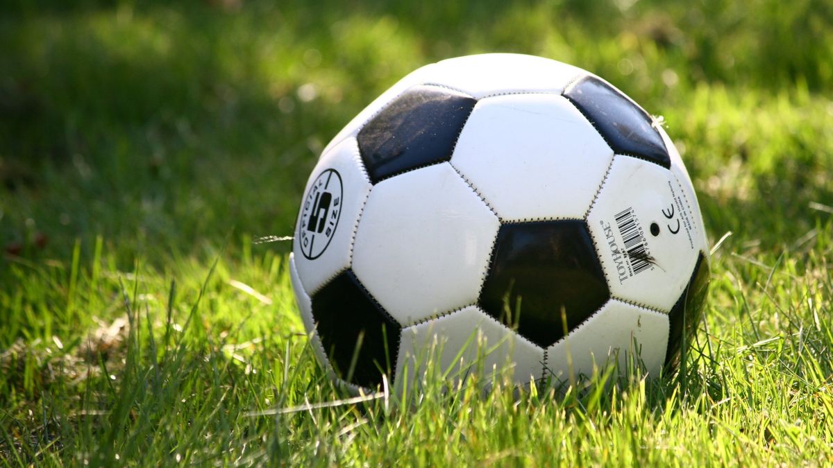 SATIRA: V zápase s JAR ukázali čeští fotbalisté obrovskou mentální sílu ...